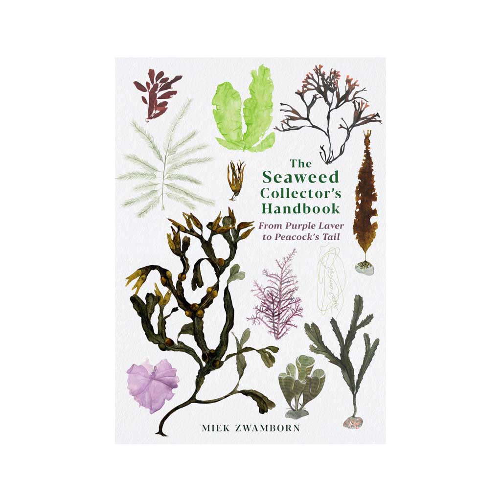Seaweed Collector's Handbook – Janet Bell Gallery & Lifestyle Store